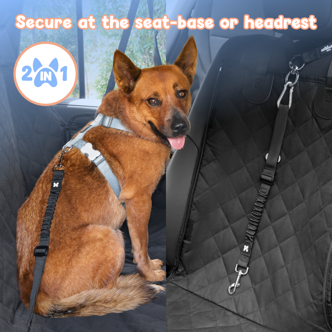 2-in-1 Dog Car Safety Restraint – APAWLO Pets