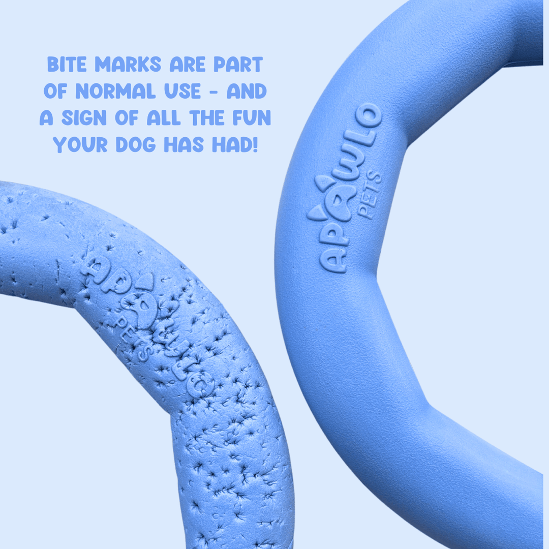 Active Ring (2 Pack) Dog Fitness Toy – APAWLO Pets