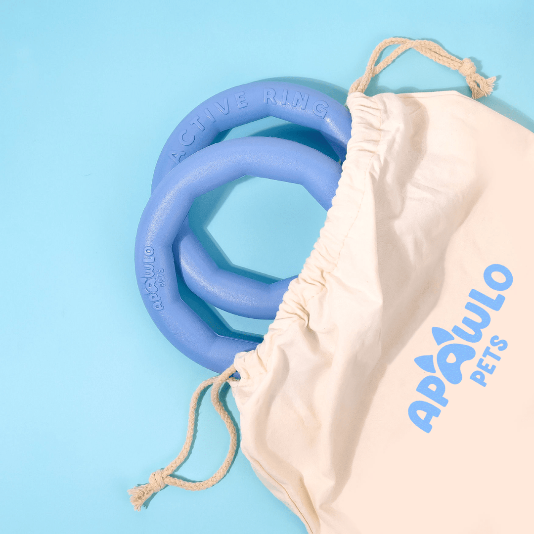 Active Ring (2 Pack) Dog Fitness Toy – APAWLO Pets