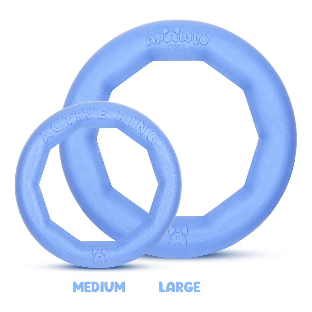 Active Ring (2 Pack) Dog Fitness Toy – APAWLO Pets