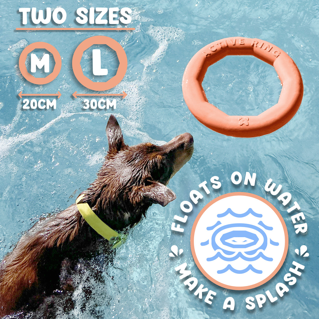 Active Ring (2 Pack) Dog Fitness Toy – APAWLO Pets