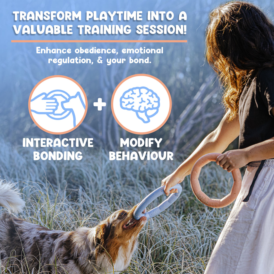 Active Ring (2 Pack) Dog Fitness Toy – APAWLO Pets