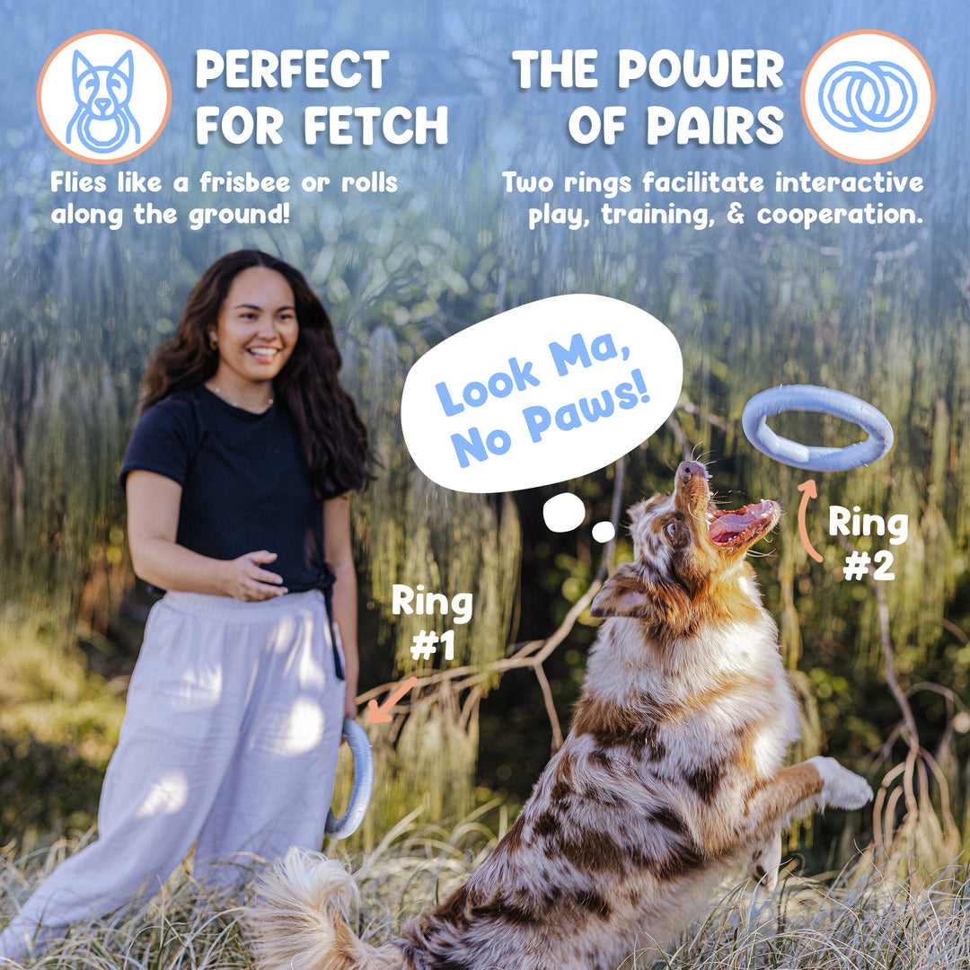 Active Ring (2 Pack) Dog Fitness Toy – APAWLO Pets